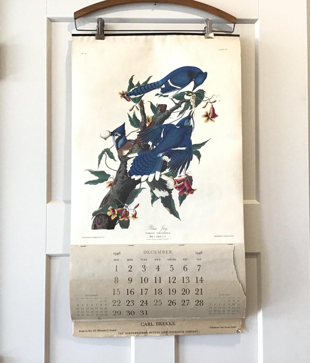 Vintage 1947 Audubon Calendar - 4 Audubon Prints - Etsy