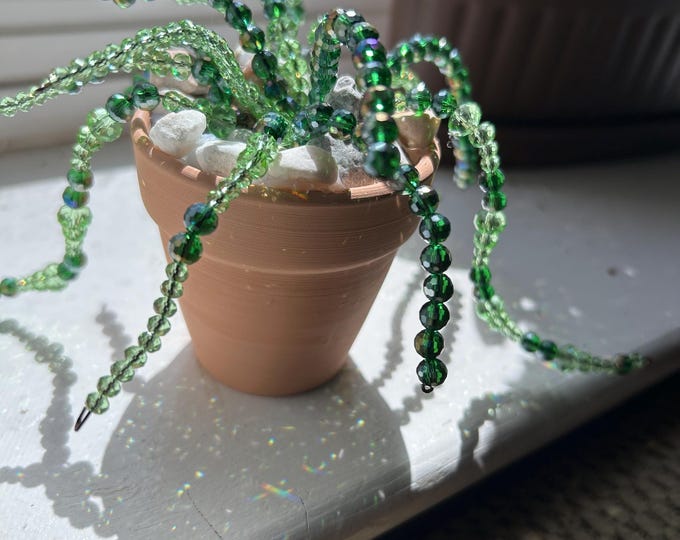 String of Pearls, Beaded Succulent Suncatcher Plant, Forever Succulent ...
