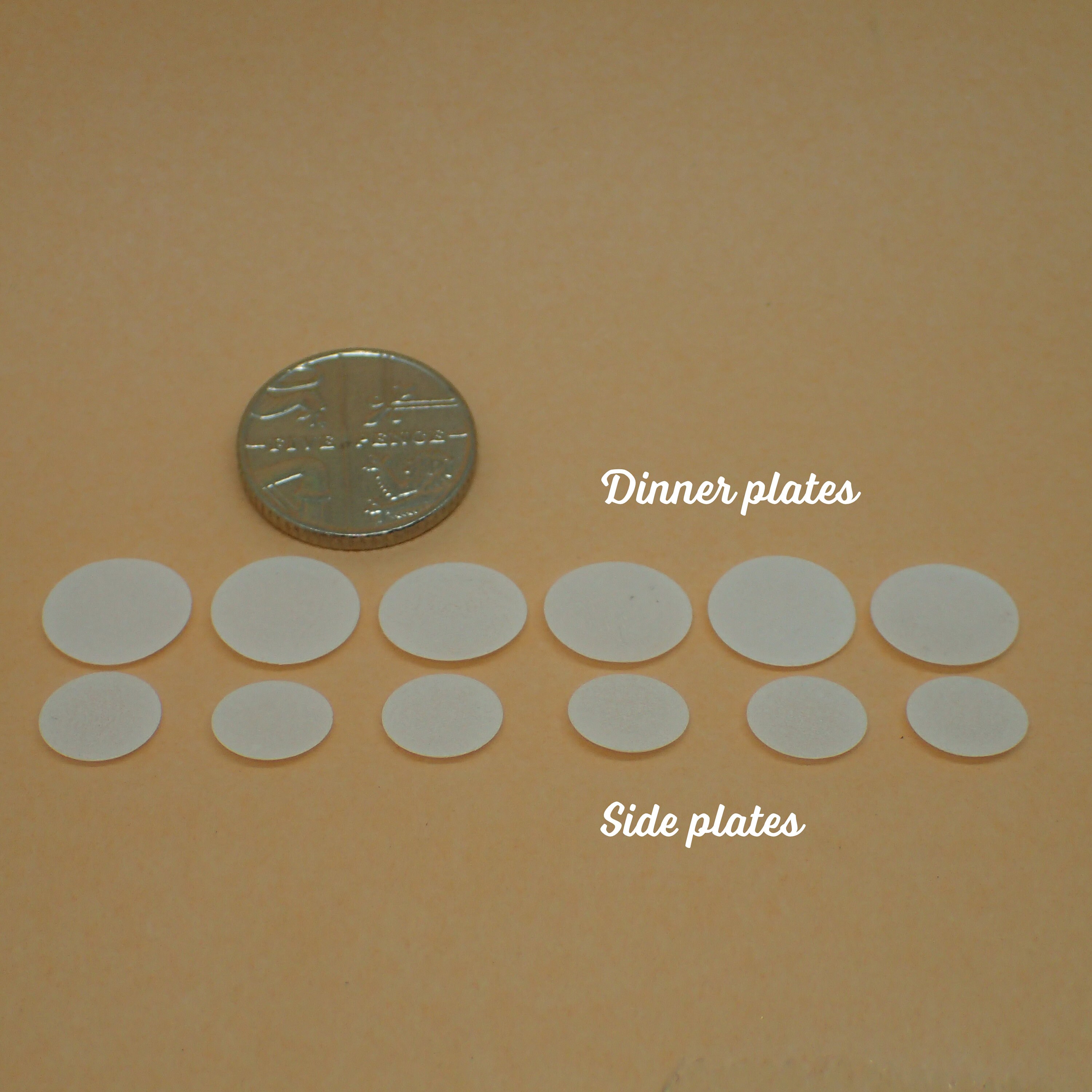 Set of 6 Plates 1/24th Scale - Etsy
