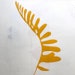 Golden Yellow Rusty Back Fern, Bold Coloured Silhouette, Bold Botanical ...