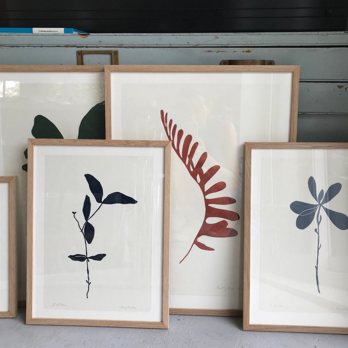 Grey Rusty Back Fern Silhouette Bold Botanical Original Art - Etsy UK