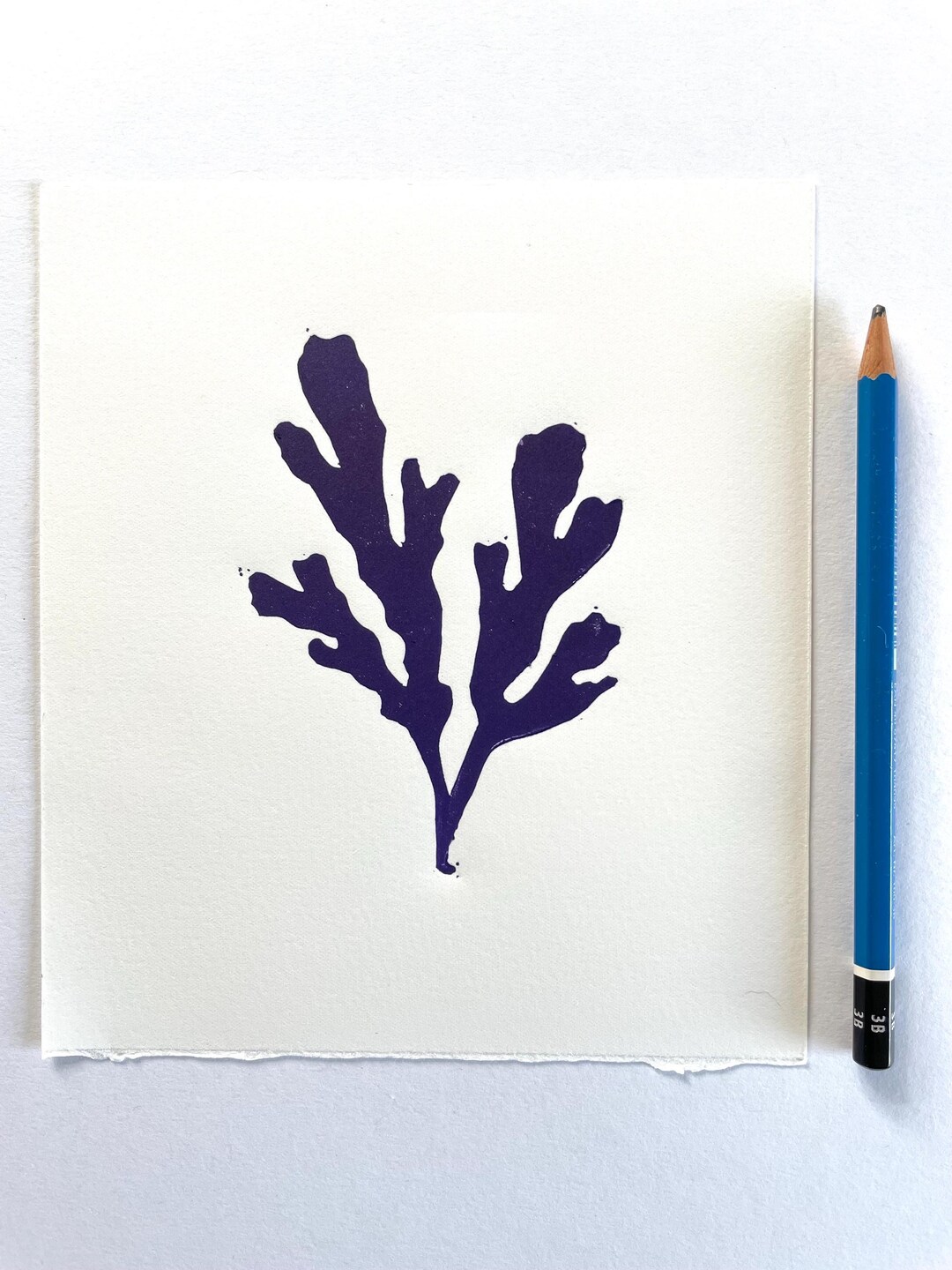 Seaweed Original Hand Carved Printed Lino Art. Deep Purple Bold ...