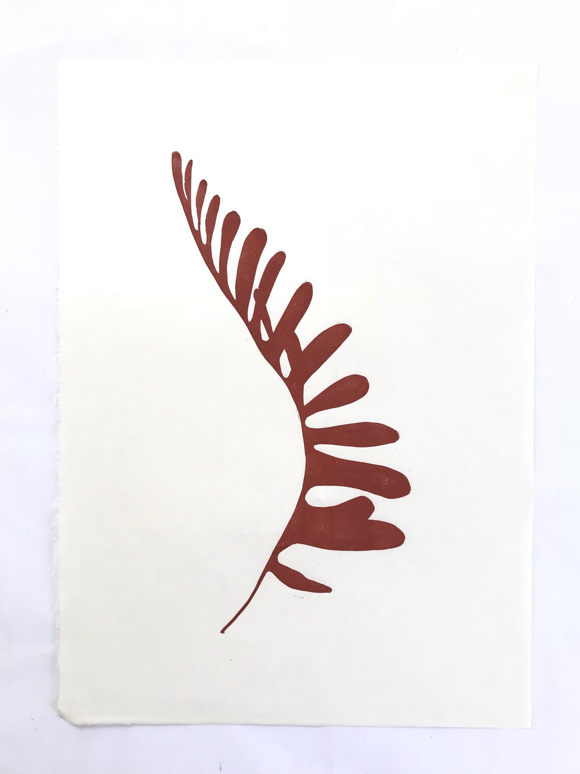 Rusty back fern Terracotta coloured silhouette bold | Etsy