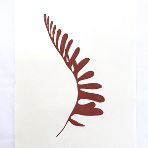 Rusty Back Fern, Terracotta Coloured Silhouette, Bold Botanical ...