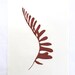 Rusty Back Fern, Terracotta Coloured Silhouette, Bold Botanical ...