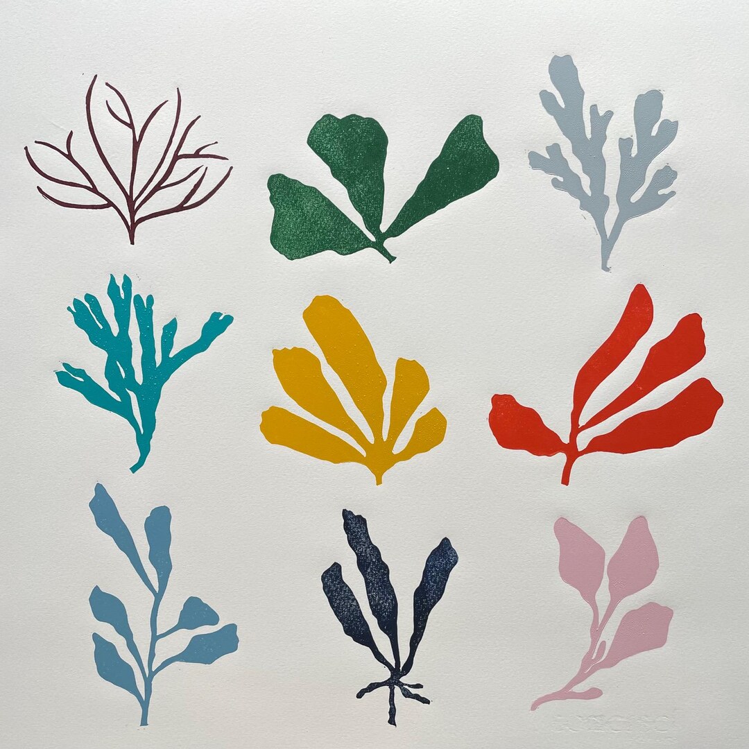 Seaweed 9 Colourful Original Lino Block Print Modern Minimal Art - Etsy
