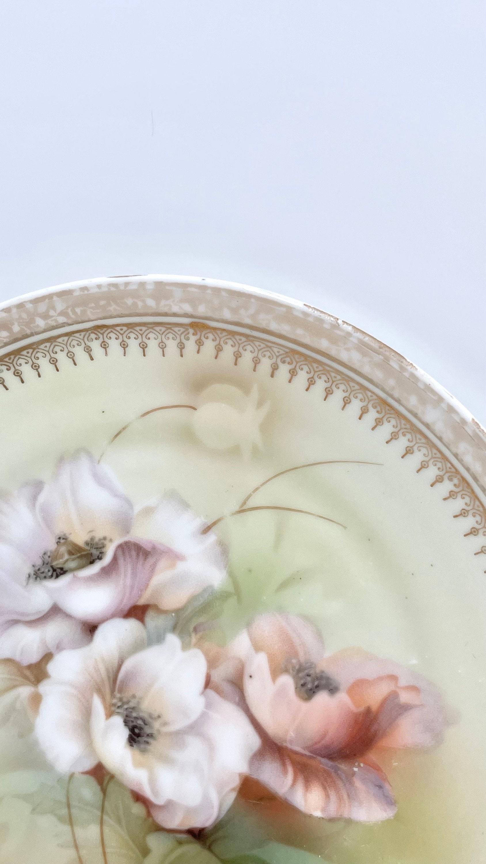 RS Germany Plate Vintage Antique Circa Early 1900s - Etsy