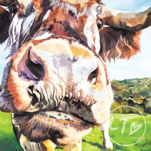Nosy Cow Art Print - Etsy