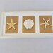 Shell Shadow Box, Wall Art, Seashell Shadow Box, Beach Decor, Coastal ...
