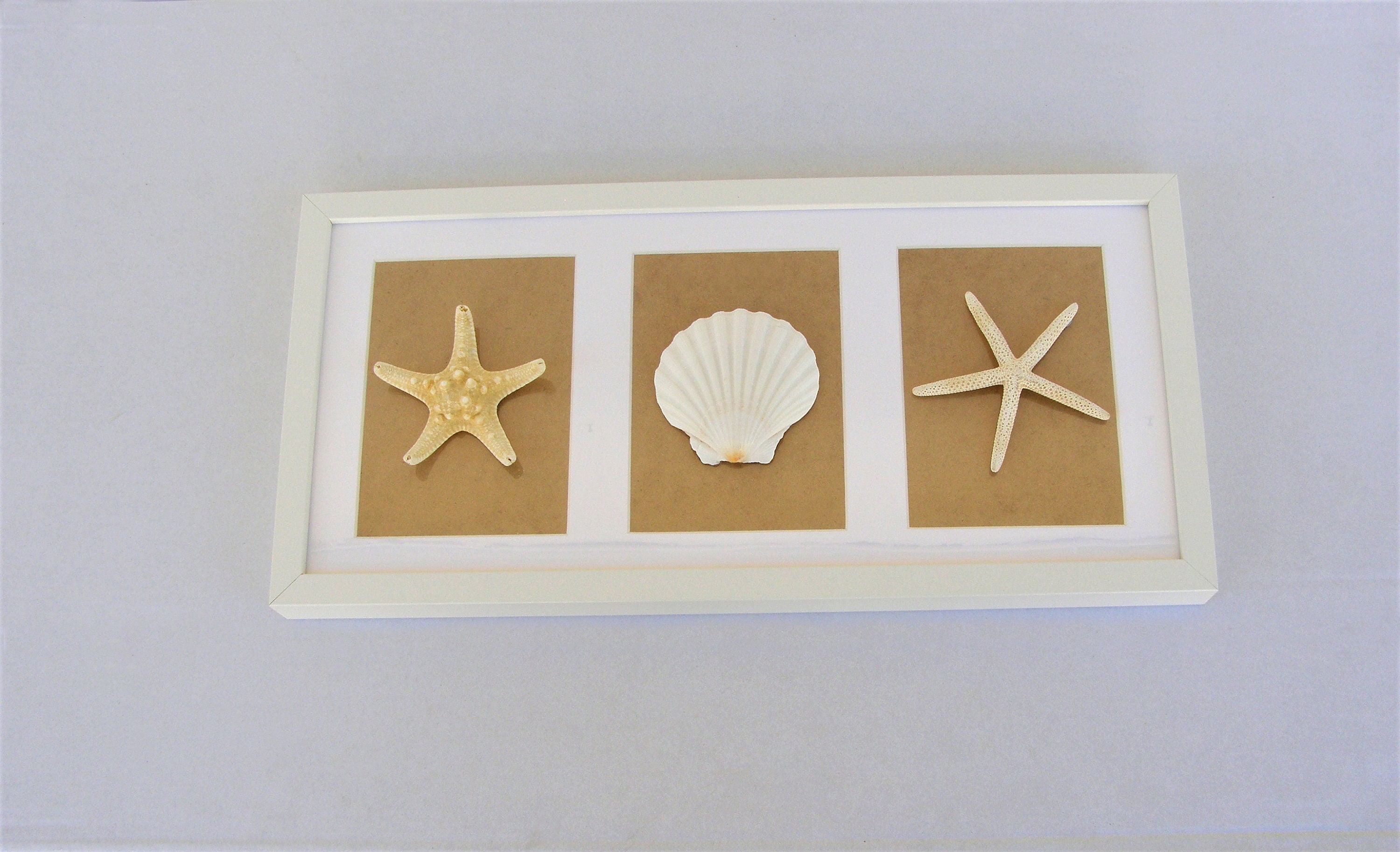 Shell Shadow Box, Wall Art, Seashell Shadow Box, Beach Decor, Coastal ...