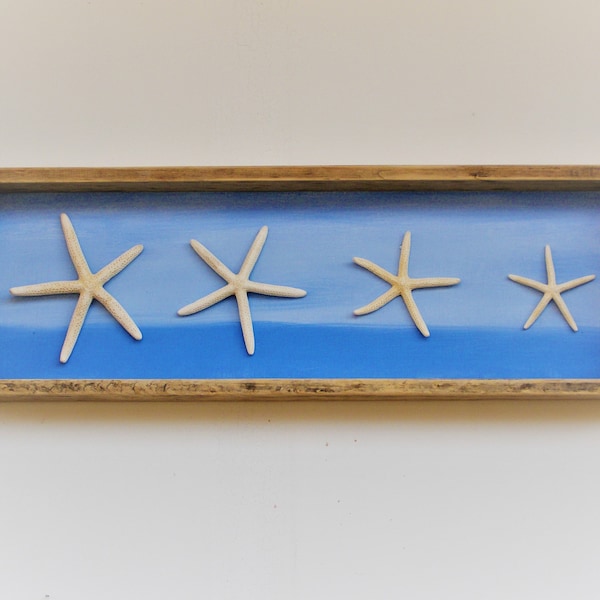 Seashell Shadow Box - Etsy