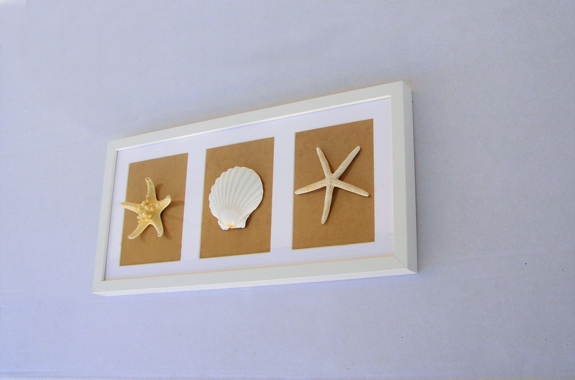 Shell Shadow Box, Wall Art, Seashell Shadow Box, Beach Decor, Coastal ...