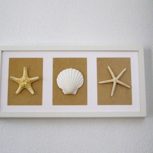 Shell Shadow Box, Wall Art, Seashell Shadow Box, Beach Decor, Coastal ...
