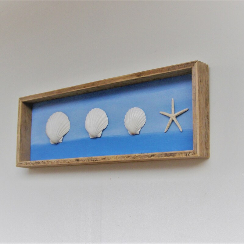 Seashell Shadow Box - Etsy