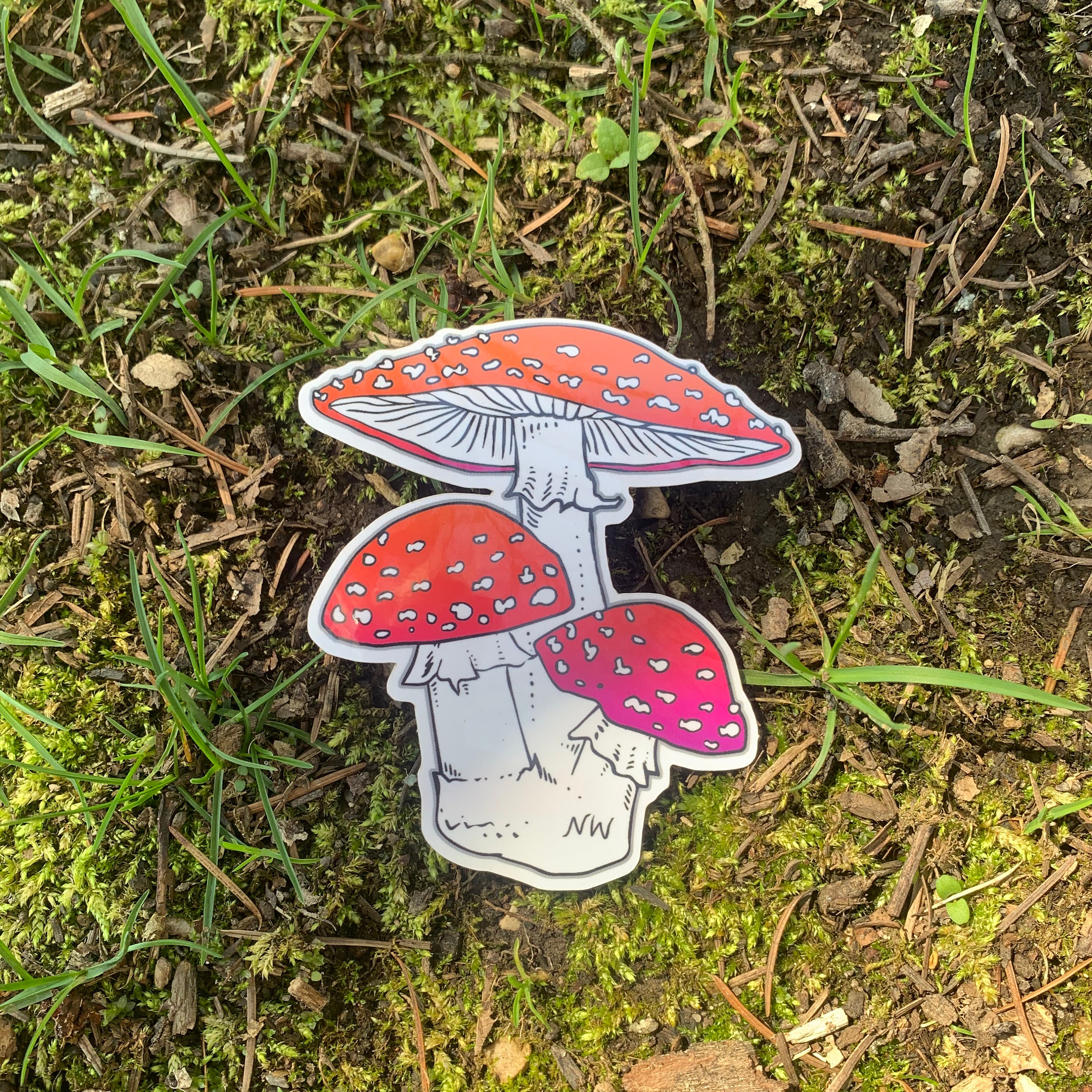Amanita Mushrooms Decal mushroom stickers nature mycology | Etsy