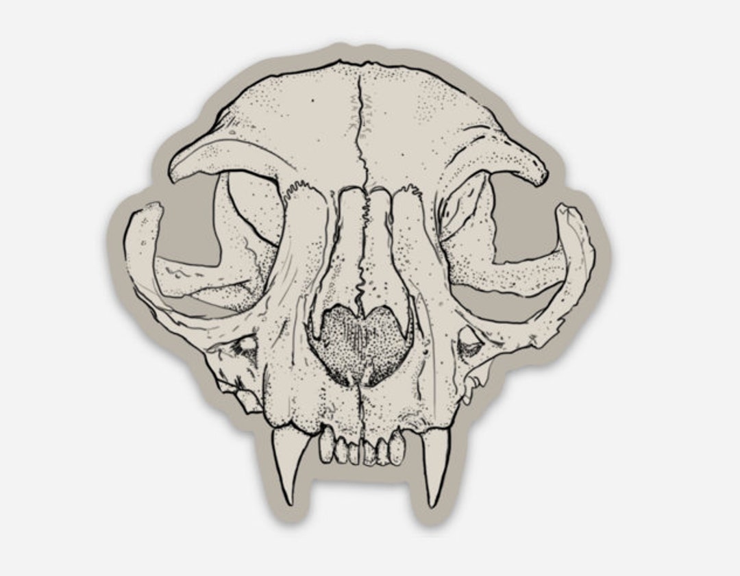 Cat Skull Bones Spooky Laser Cut Decal Sticker Waterproof Sticker - Etsy