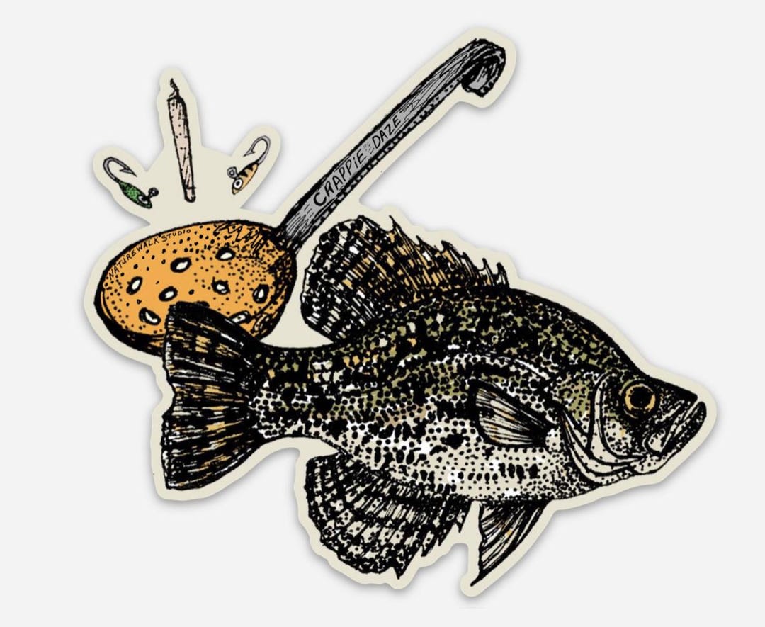 Crappie Ice Fishing Freshwater Fish Decal - Etsy