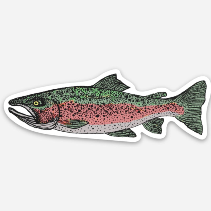 King Salmon Decal - Etsy