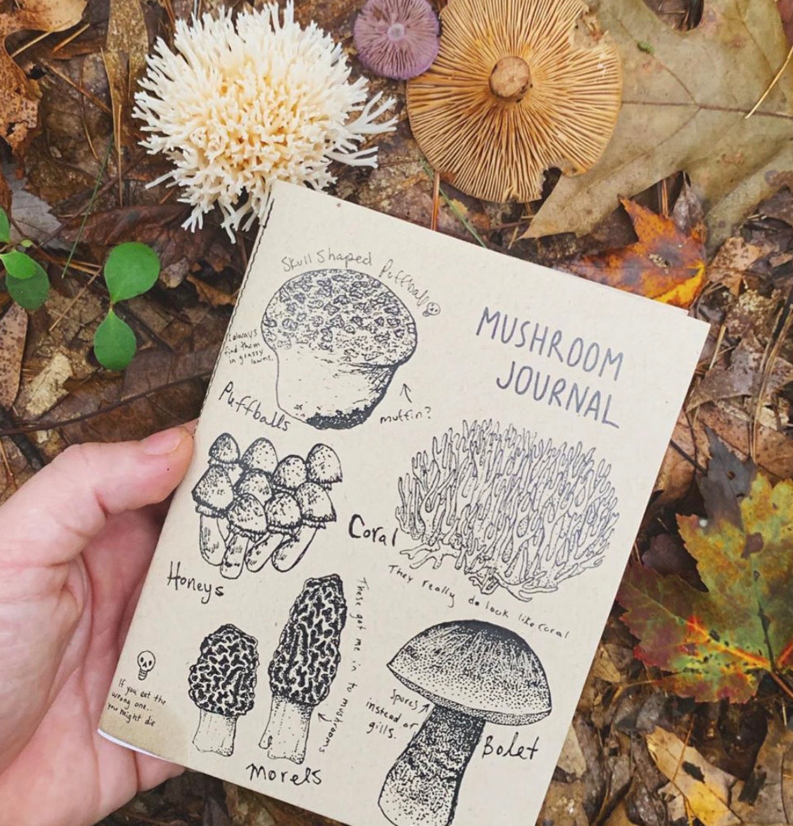 Mushroom Journal FORAGING Field Guide Notes for Edible Mushrooms Zine ...