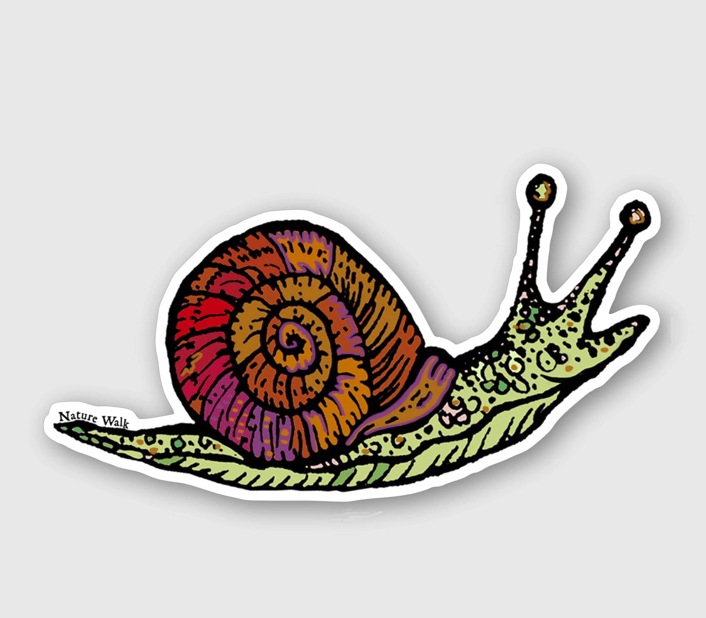 Funky Snail Decal Snail Waterproof Stickers Slug Nature - Etsy UK