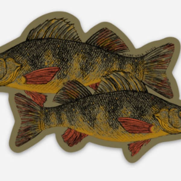 Freshwater Fish Decals - Etsy