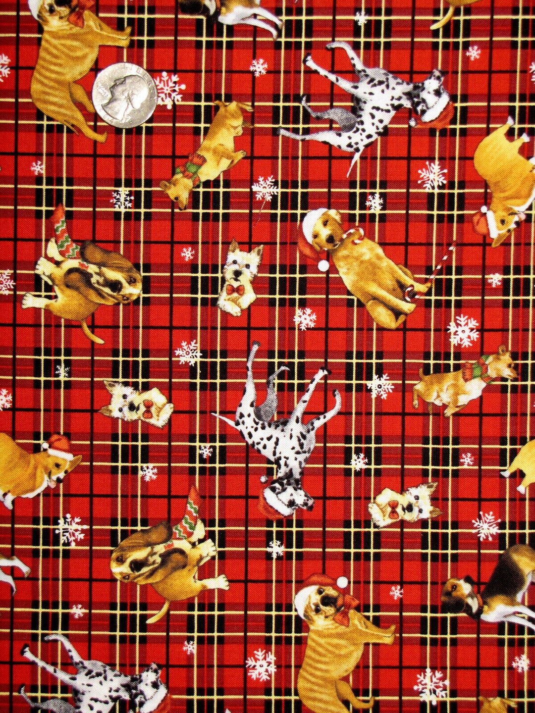 Snow Dog Express by Geoff Allen for STUDIO E Fabric by the Half Yard ...