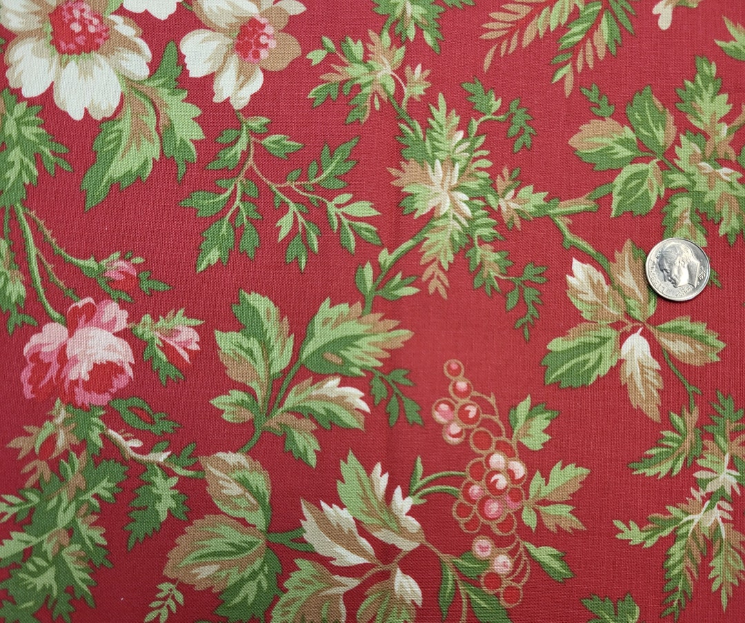 Incarnadine by Robyn Pandolph for RJR Fabrics Fabric 15 X WOF Available ...