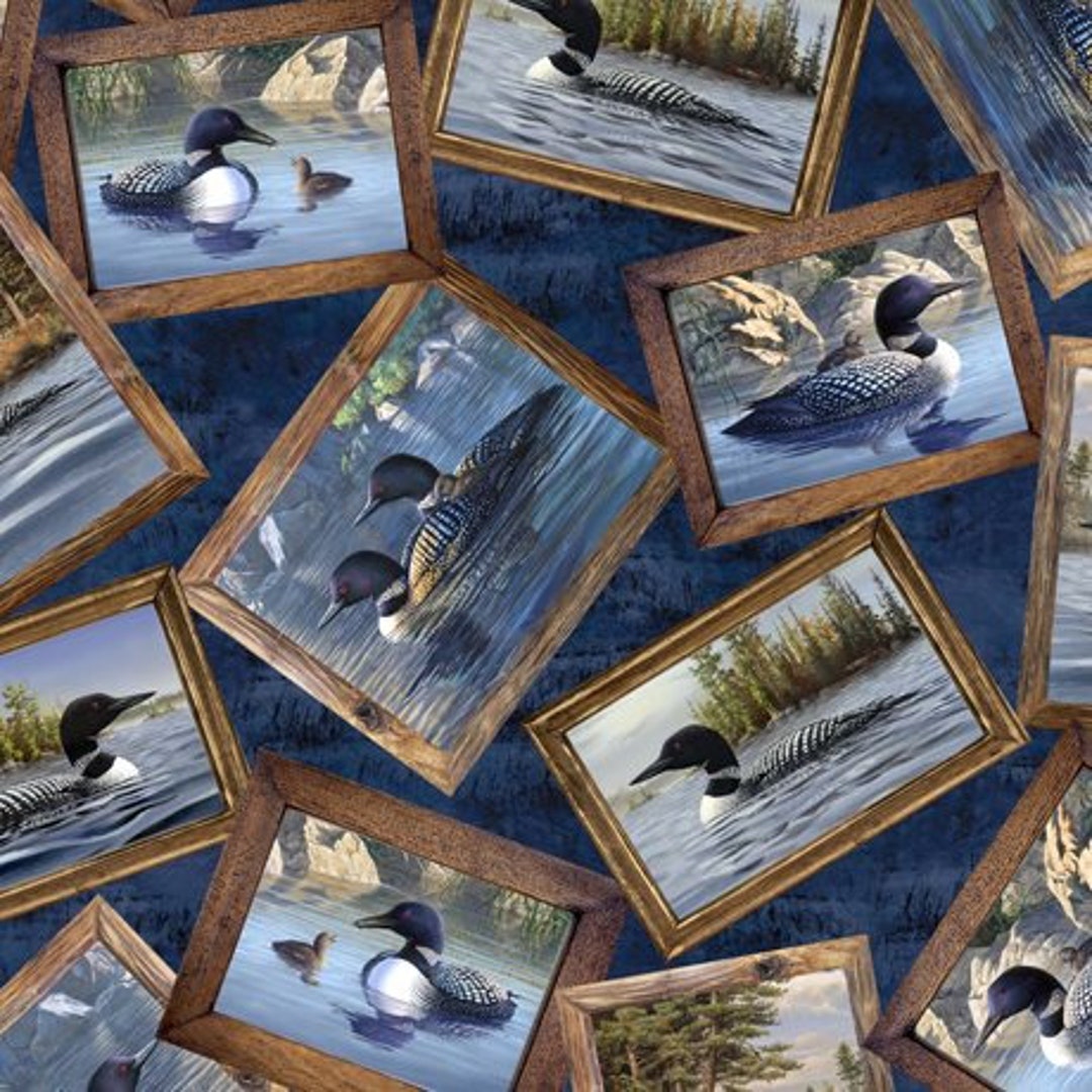 Loons by Hautman Brothers for QT Fabrics Fabric by the Half Yard 09B 045 - Etsy