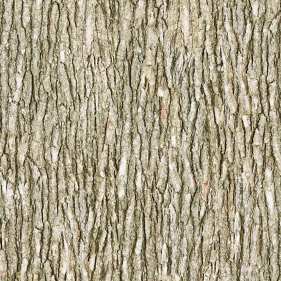 Open Air Tree Bark by Quilting Treasures Fabric by the Half Yard 56B ...