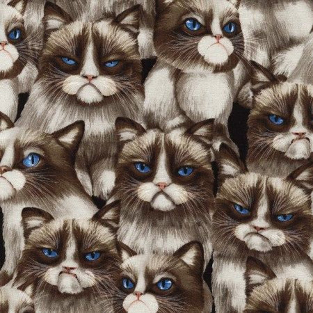 Grumpy Cat Fabric Cream, Brown, and Blue Grumpy Cat by Timeless ...
