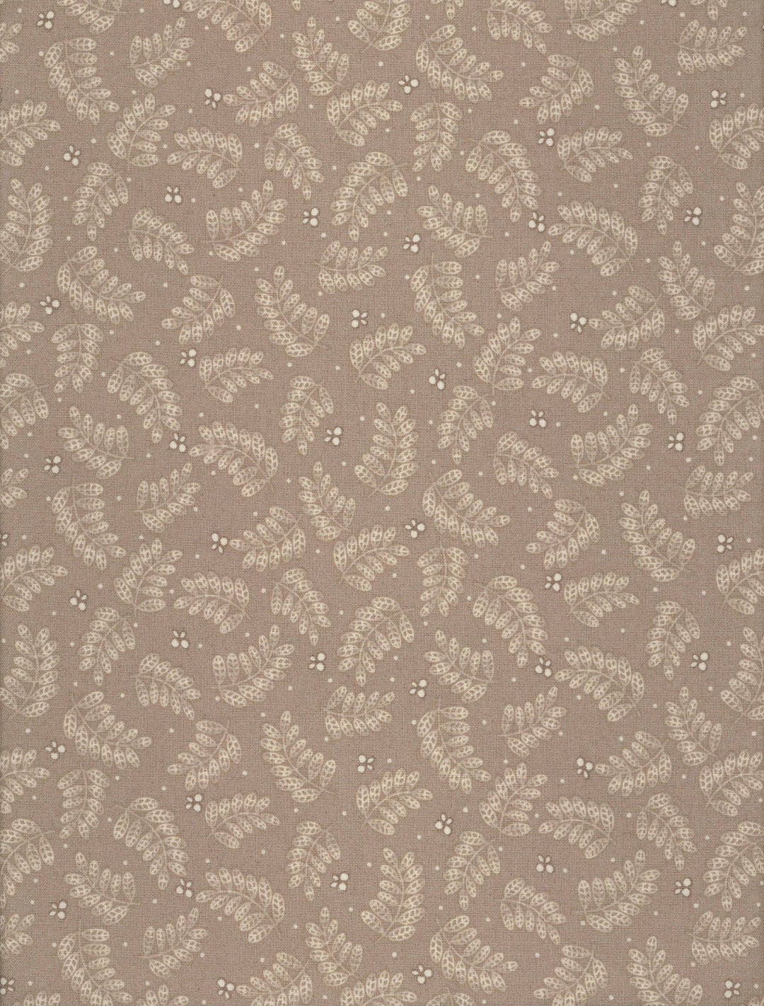Nobuko Believe by the Aird Group for Quilting Treasures Fabric by the ...