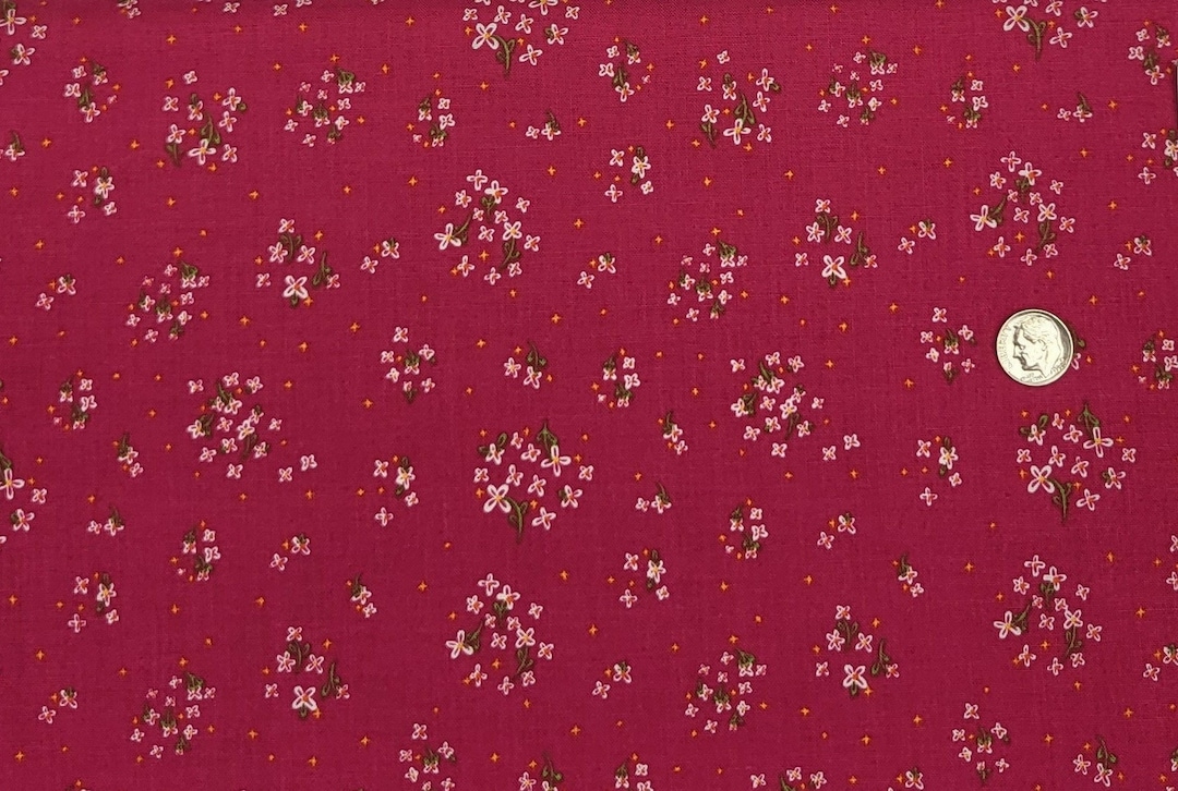 Indigo Garden by Heather Peterson for Riley Blake Designs Raspberry ...