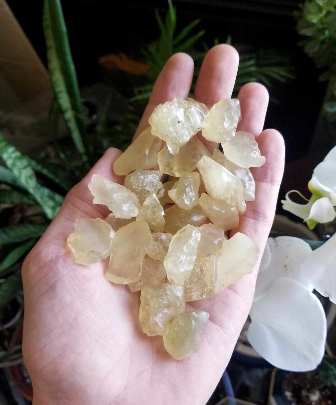 Raw Libyan Desert Glass 4 -9g Each // Genuine Libyan Gold Tektite ...
