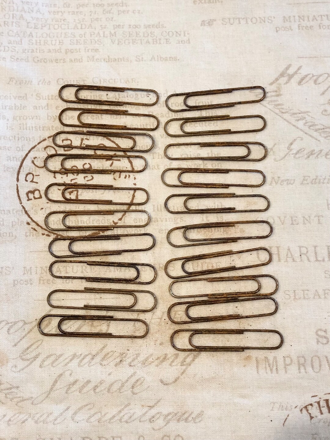 Rusted Paper Clips, Jumbo, 2 Inch Length, Contains 20 per Package ...