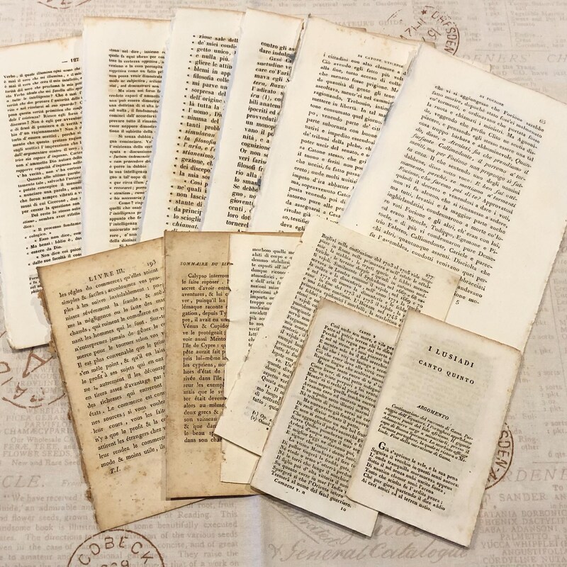 Antique Book Pages - Etsy