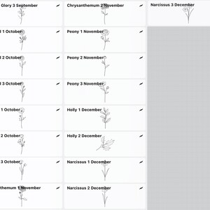 Birthflower Designs | Fineline Procreate | Procreate Birth Flower ...
