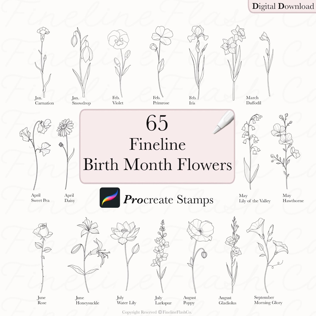 Birthflower Designs | Fineline Procreate | Procreate Birth Flower ...