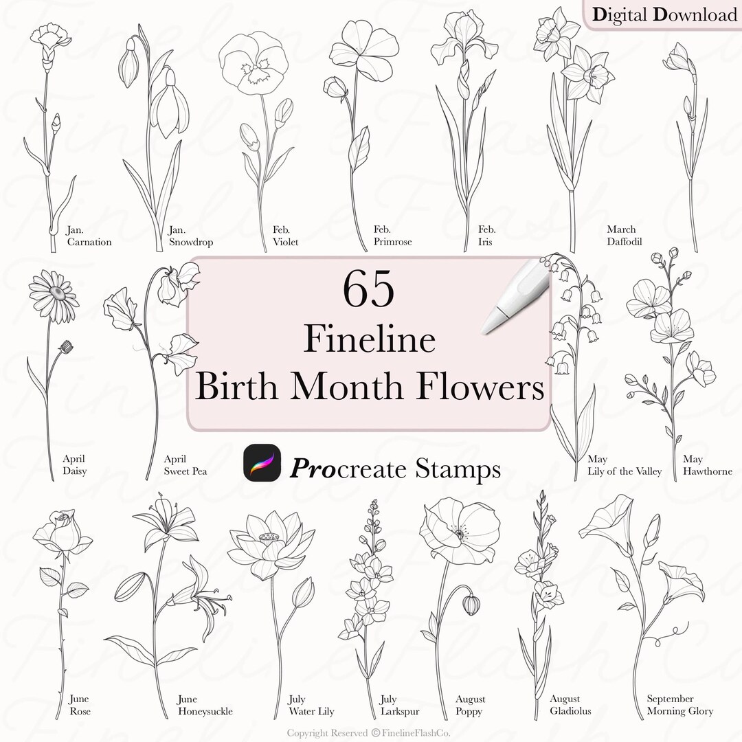 Birth Flower Designs Fineline Procreate Procreate Flower Designs Fine ...