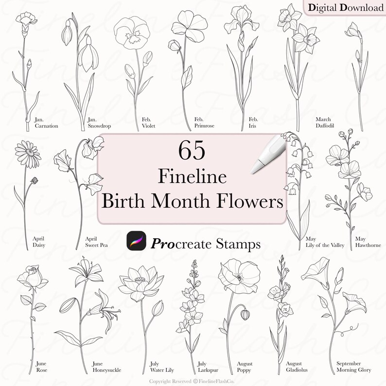 Birthflower Designs | Fineline Procreate | Procreate Birth Flower ...