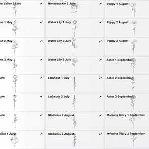 Birthflower Designs | Fineline Procreate | Procreate Birth Flower ...