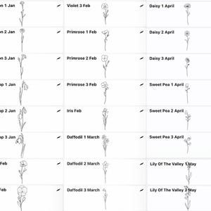 Birthflower Designs | Fineline Procreate | Procreate Birth Flower ...