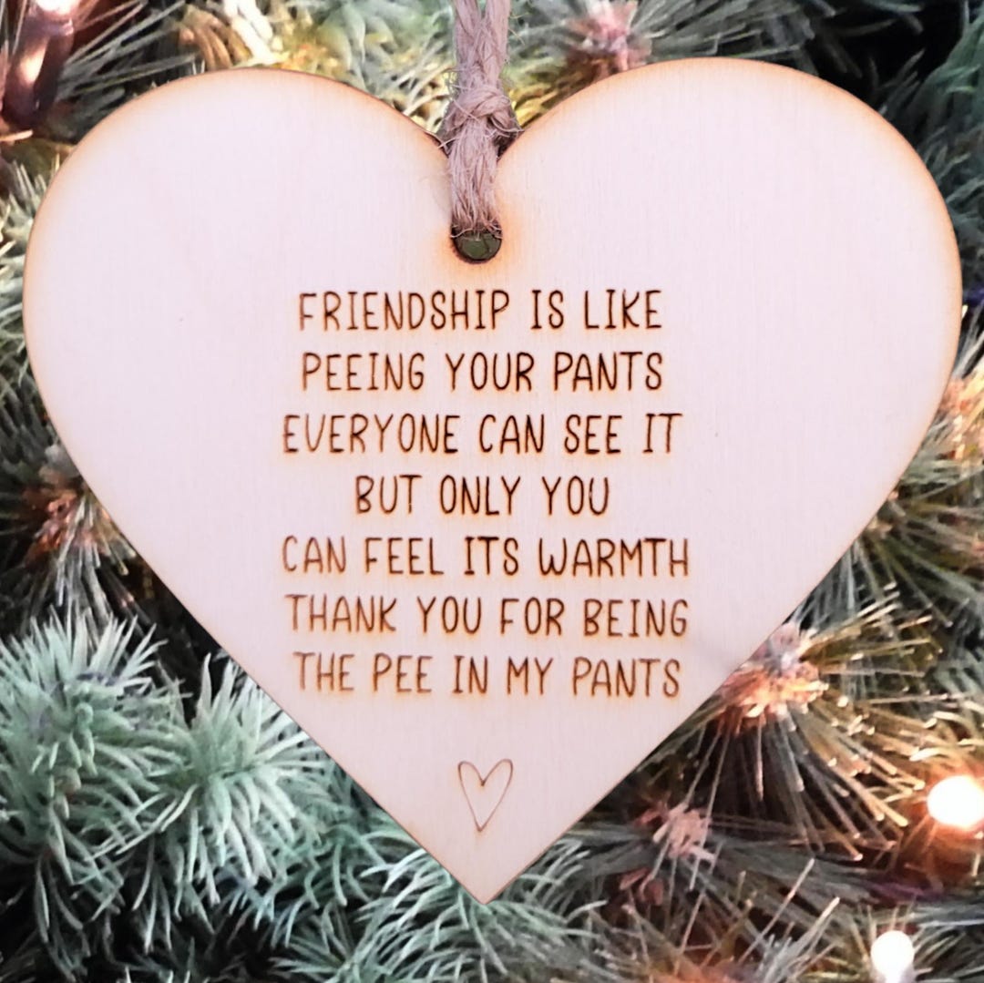 Funny Frienship Ornament Friendship is Like Peeing Your Pants Fun Gift ...
