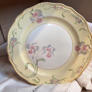 Steubenville Dinner Plate Ivory Pattern STB67 Pink and Blue Iris 10" - Etsy