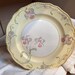 Steubenville Dinner Plate Ivory Pattern STB67 Pink and Blue Iris 10" - Etsy