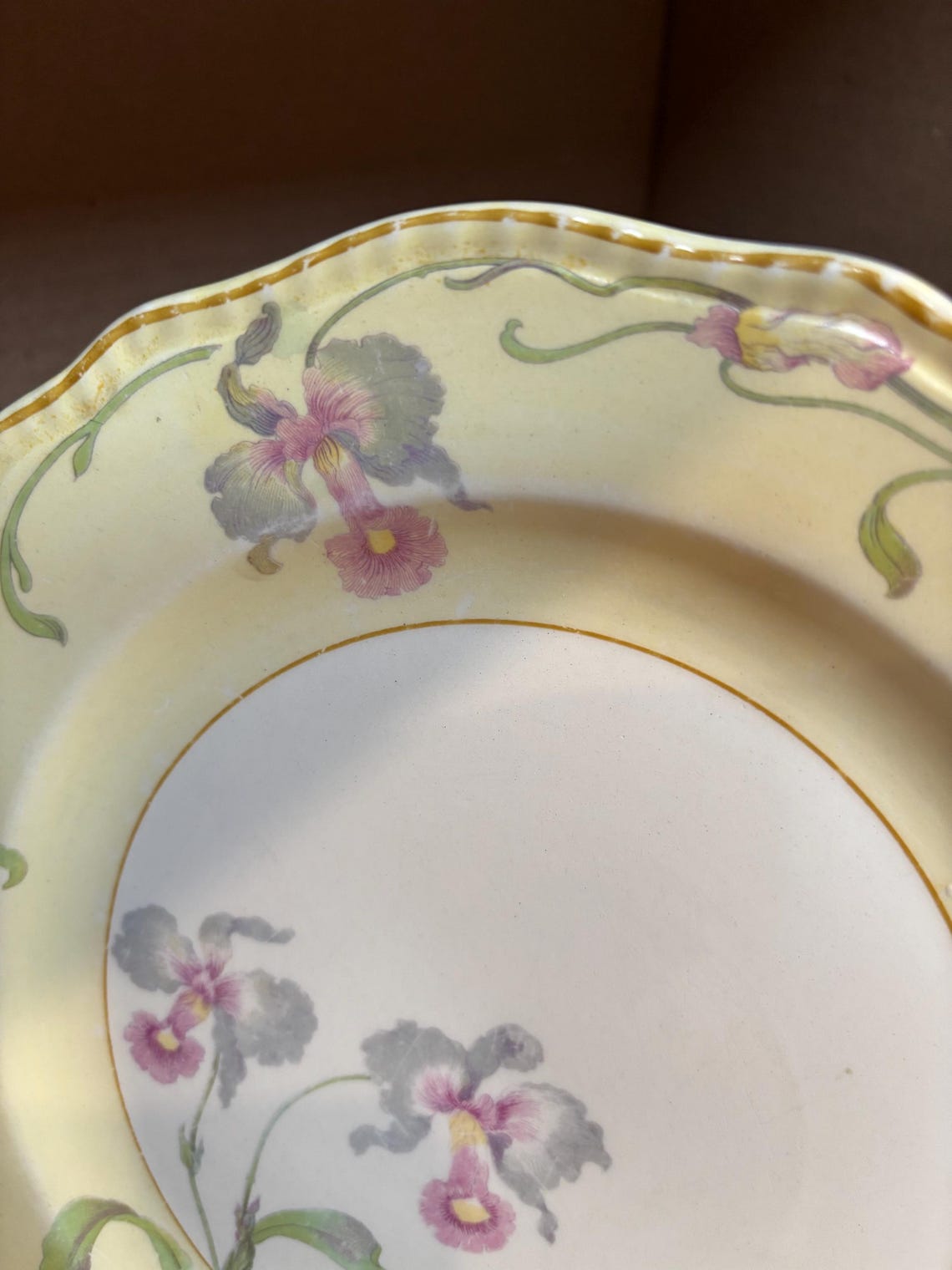 Steubenville Dinner Plate Ivory Pattern STB67 Pink and Blue Iris 10" - Etsy