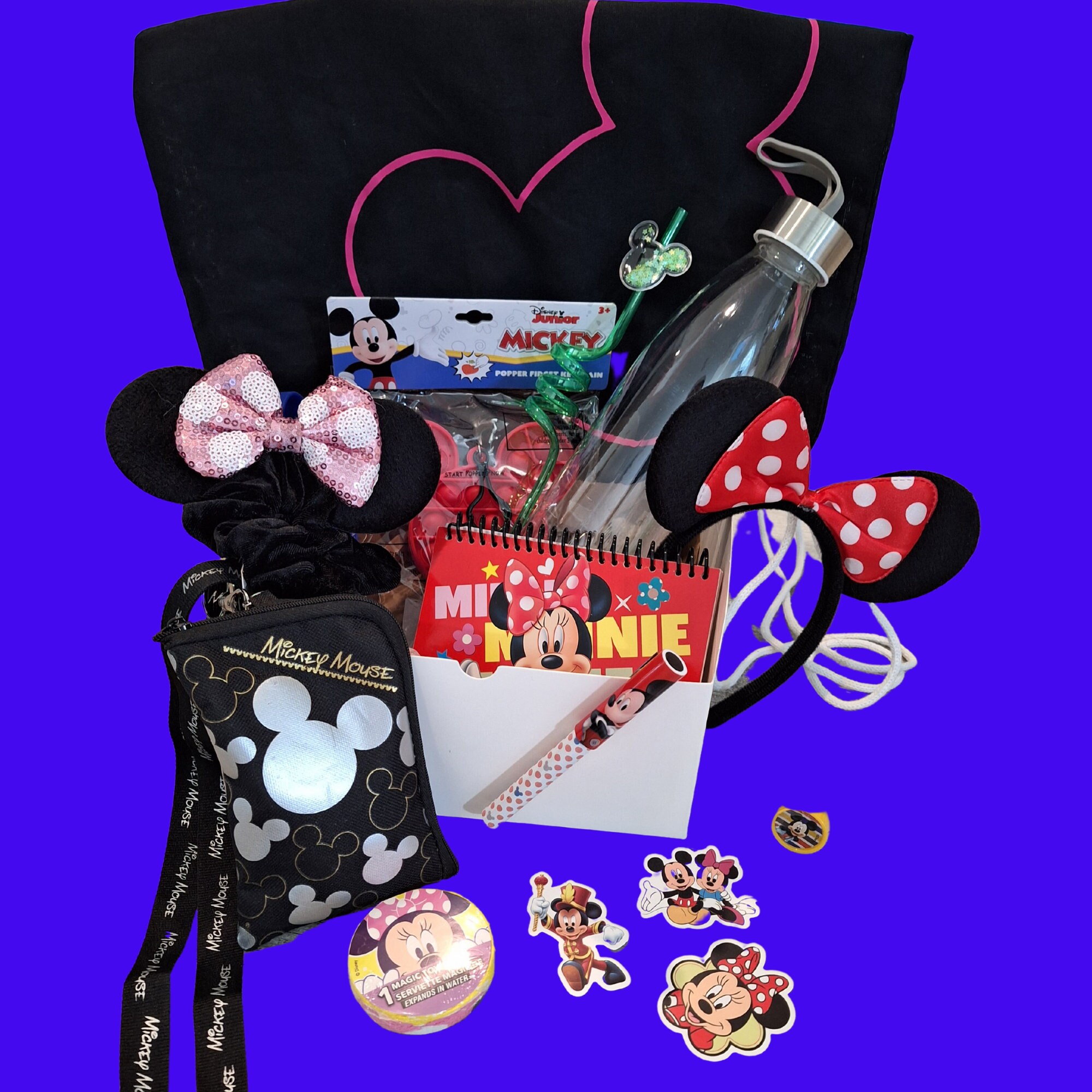 Disney Surprise Box, We're Going to Disneybox, Kids Gift Box - Etsy