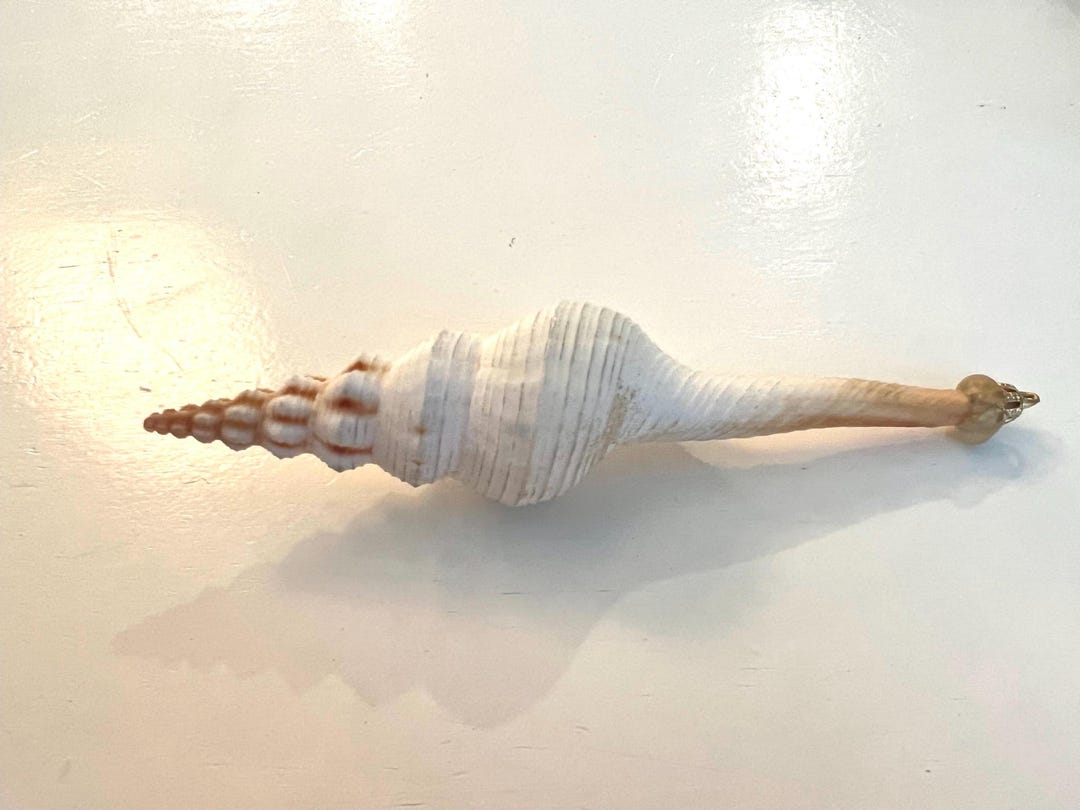 Vintage Shell Pendant, 60s Mint Estate Collection Seaside Tropical ...