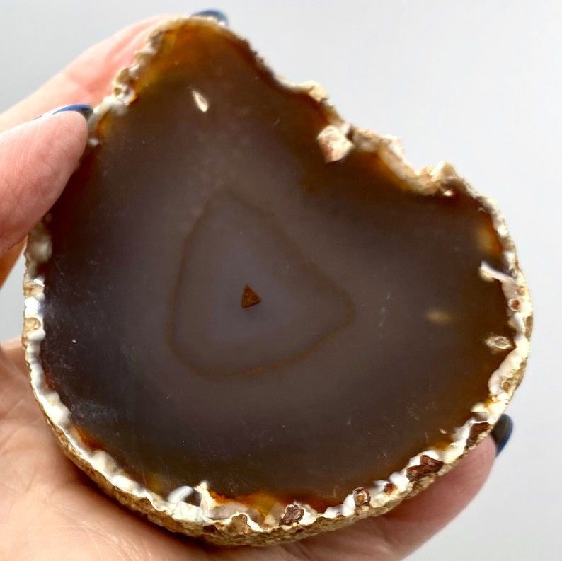 Sliced Agate Geode | Volcanic Rock | Semiprecious Stone | Quartz Rock ...