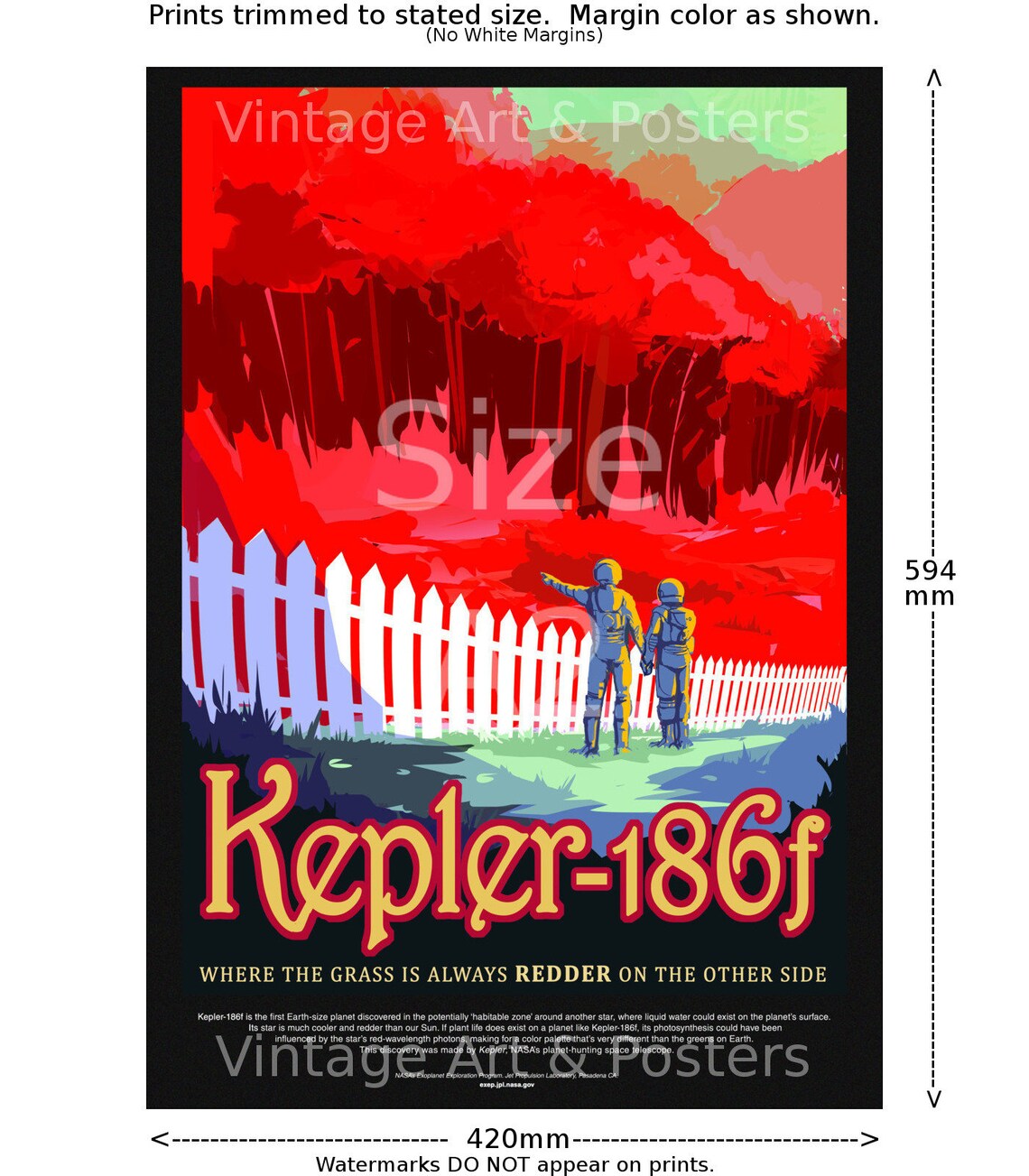 NASA JPL Space Tourism Poster Kepler 186f Where the Grass is - Etsy