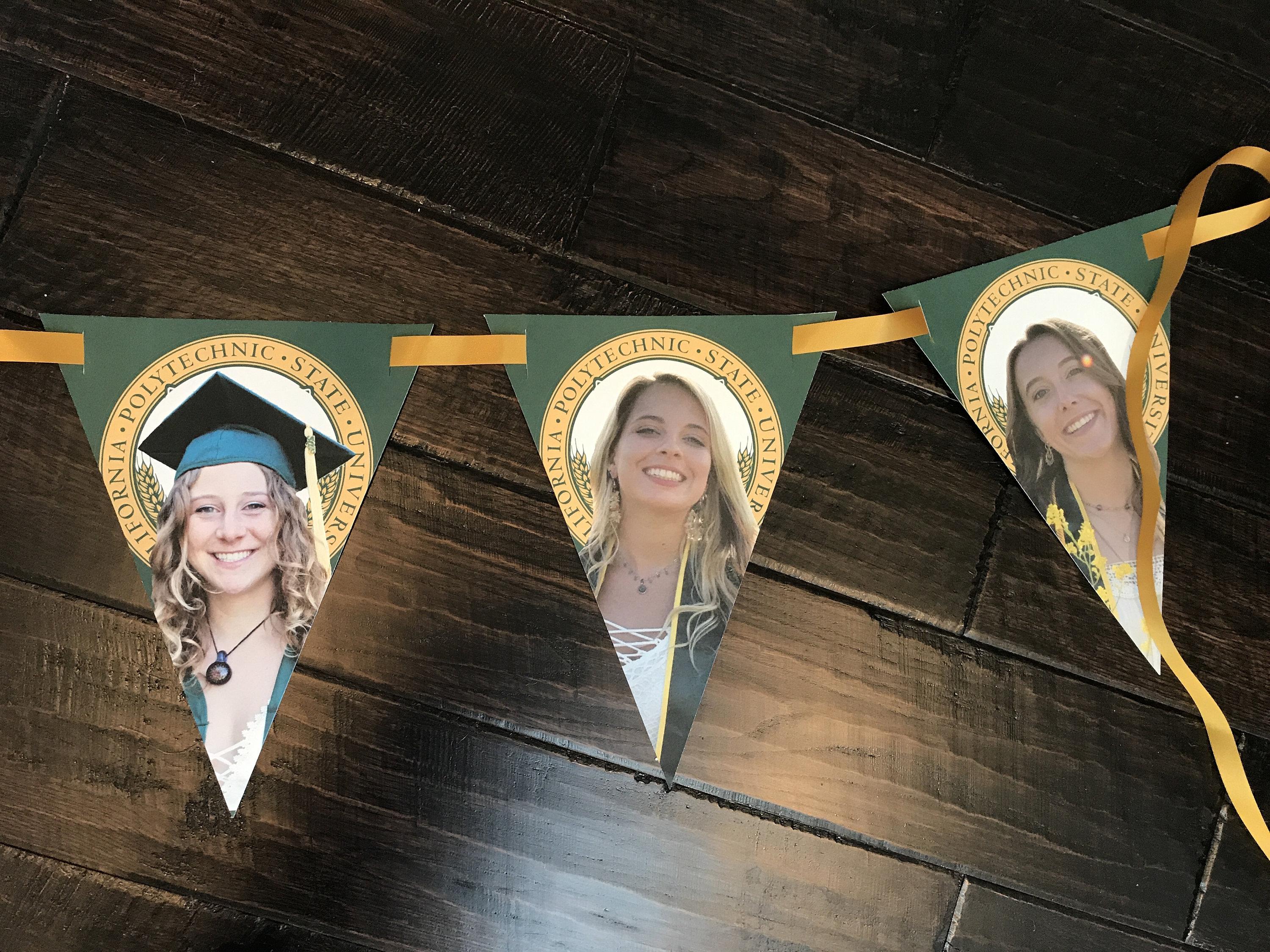 DIY Graduation or College School Flag Banner Printable File Only - Etsy